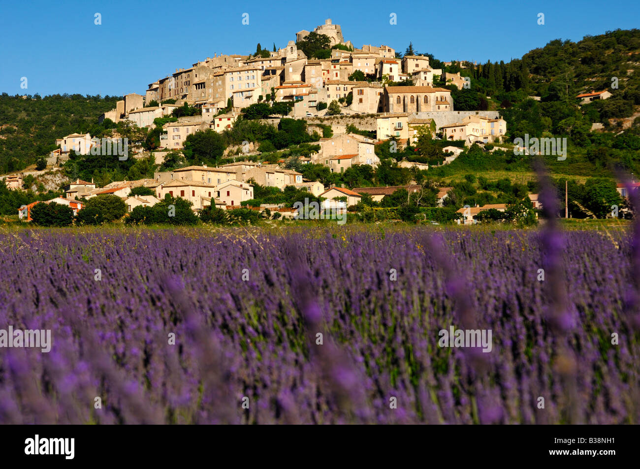 The medieval village of Banon throning on a hill overlookign fields of ...