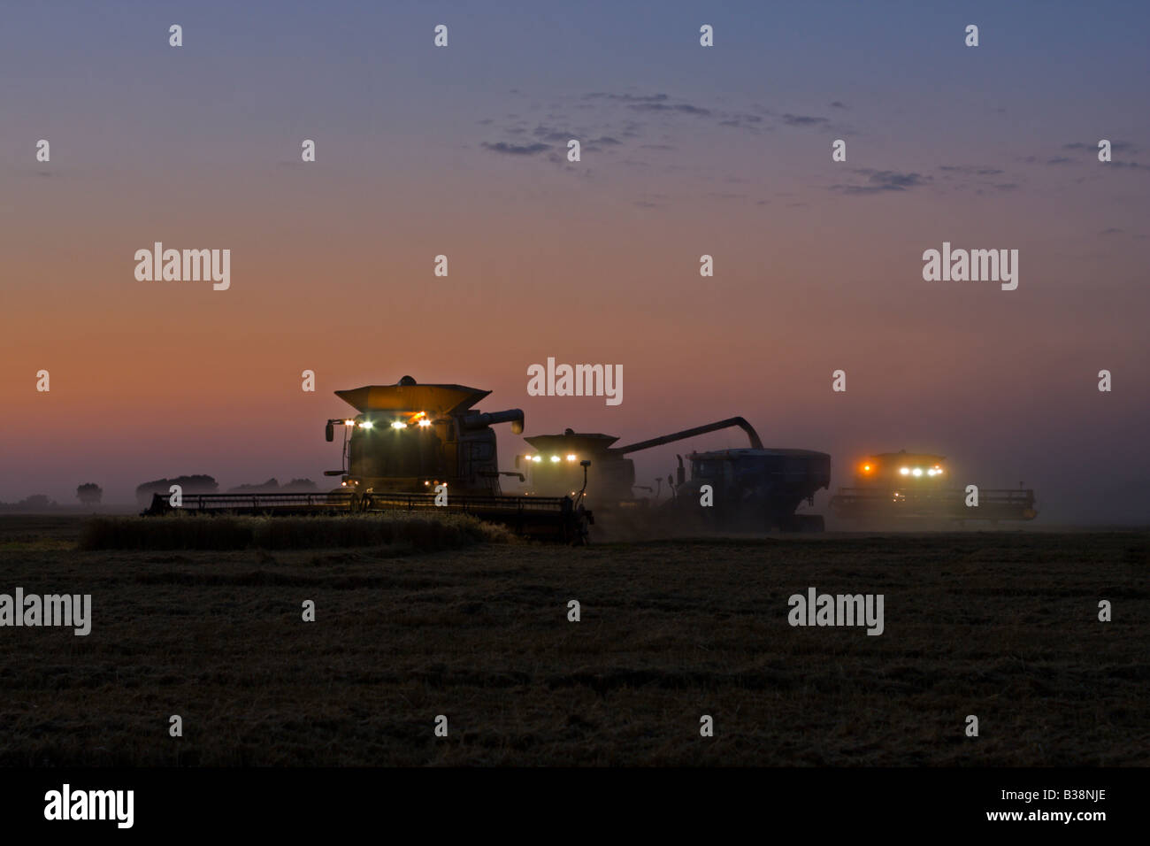 Combine harvesting of oats hi-res stock photography and images - Alamy