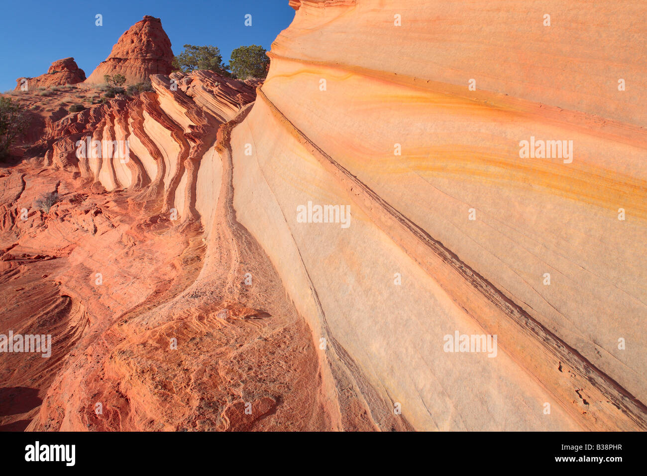 Striated sandstone in Vermilion Cliffs National Monument, Arizona Stock ...