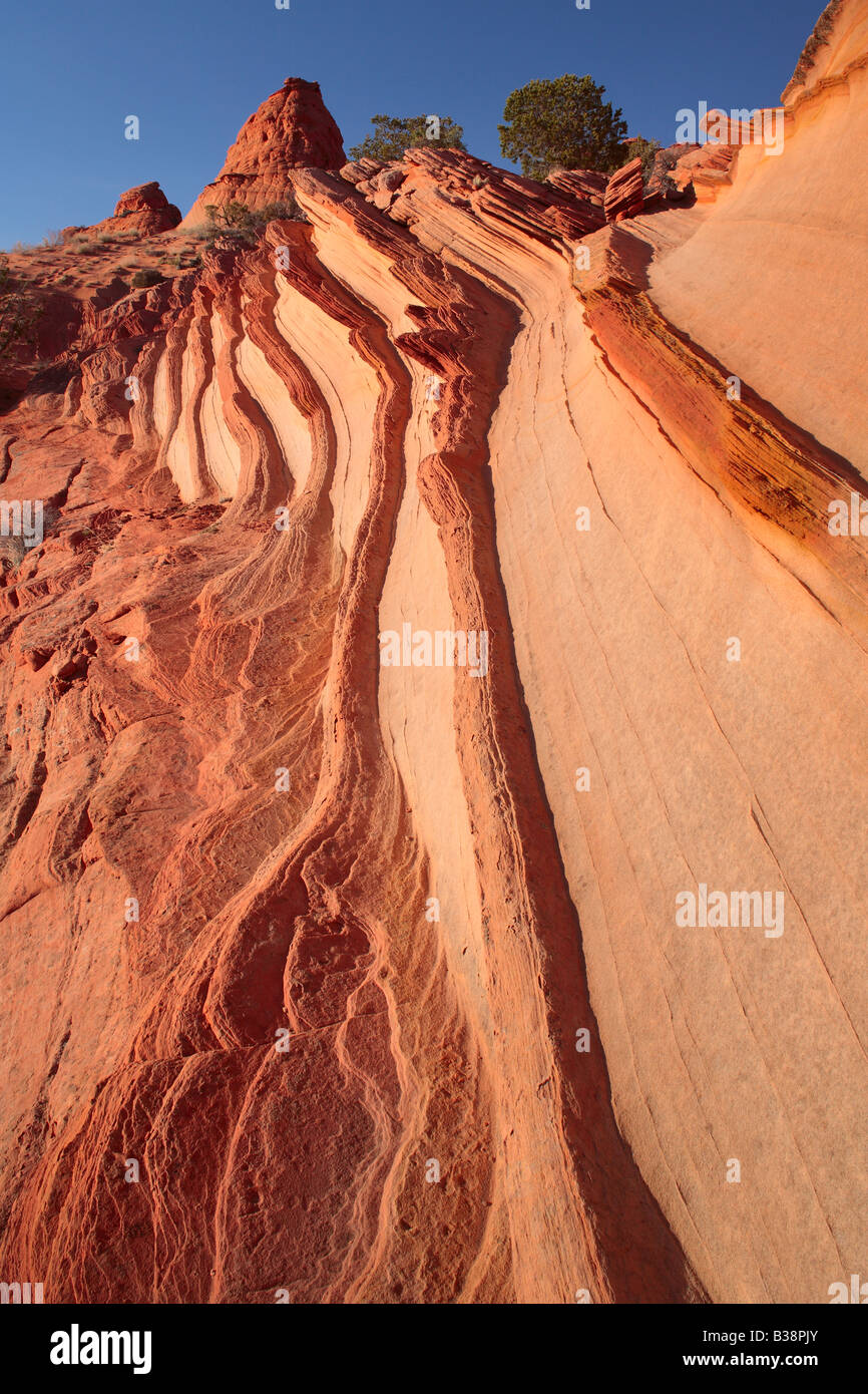 Striated sandstone in Vermilion Cliffs National Monument, Arizona Stock ...