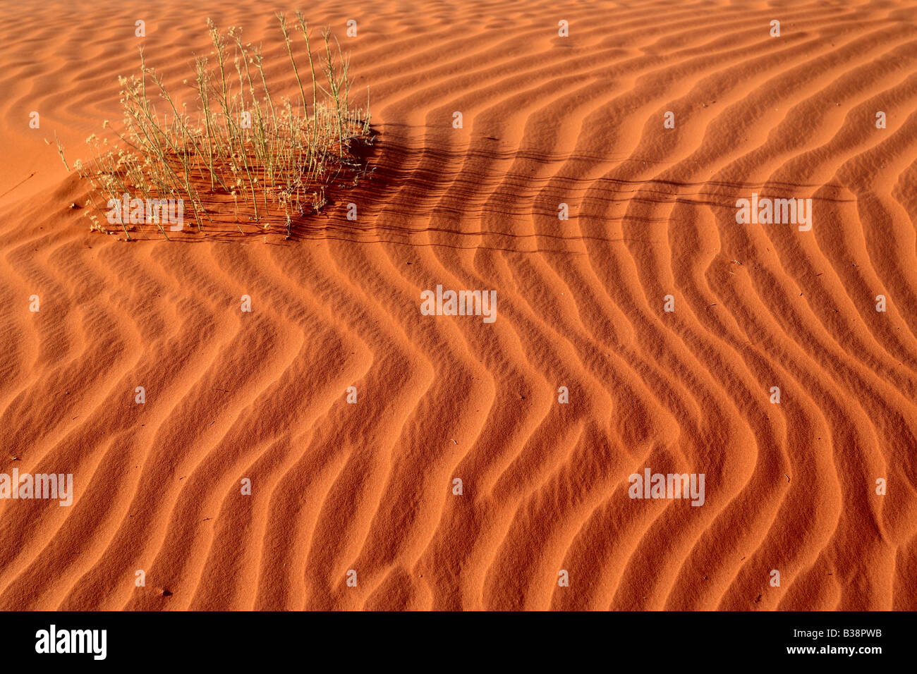 Ripple grass hi-res stock photography and images - Alamy