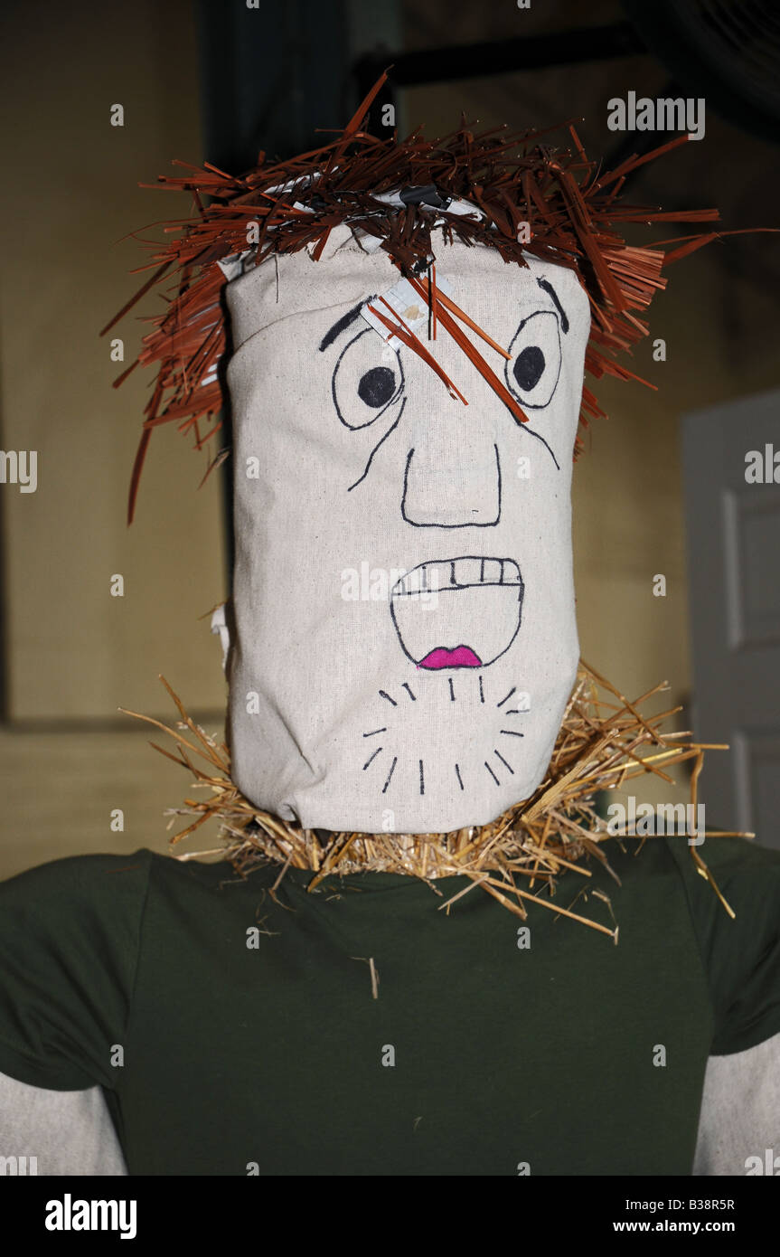 Scarecrow crow hi-res stock photography and images - Alamy