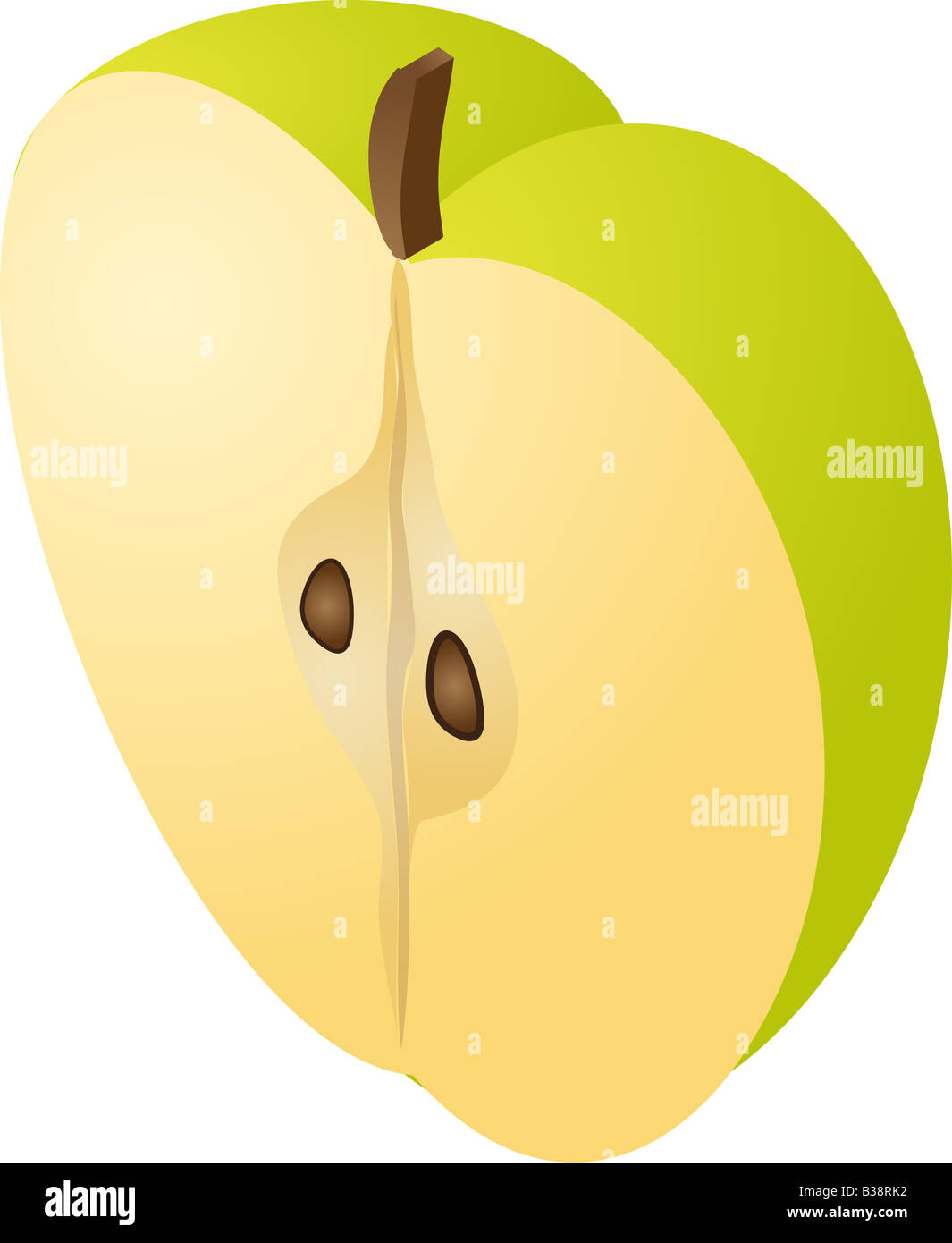 Sliced half green apple isometric illustration color gradient Stock ...