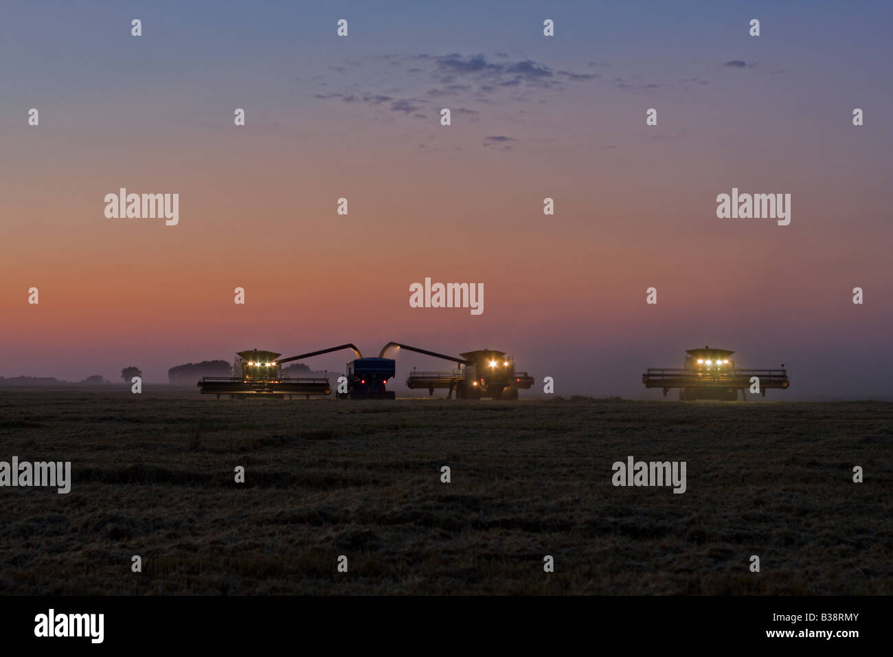 Klaas Lexion 590R combines unloaded wheat at sundown Stock Photo - Alamy