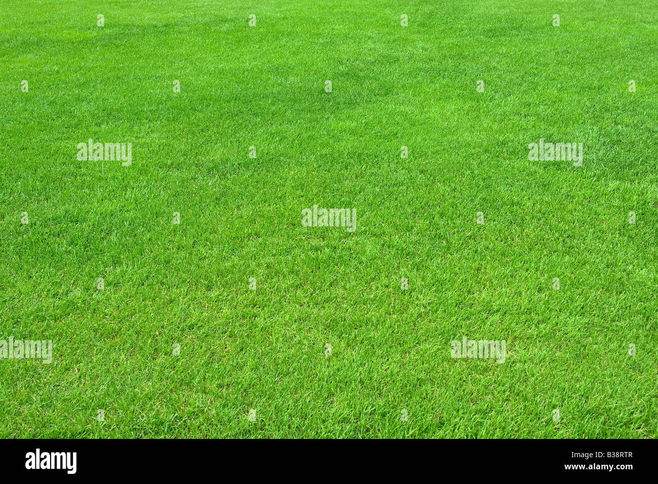 Cut horizontal hi-res stock photography and images - Alamy