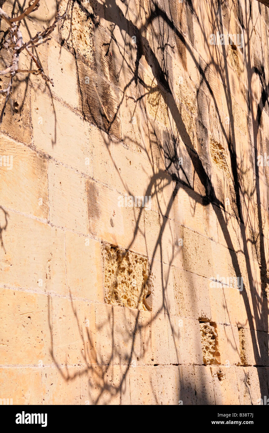 shadow on the wall Stock Photo - Alamy