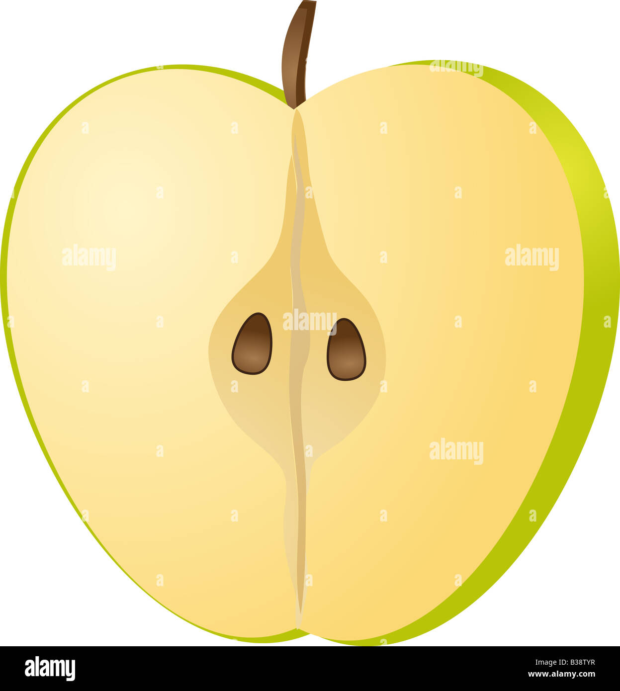 Sliced half green apple isometric illustration color gradient Stock ...