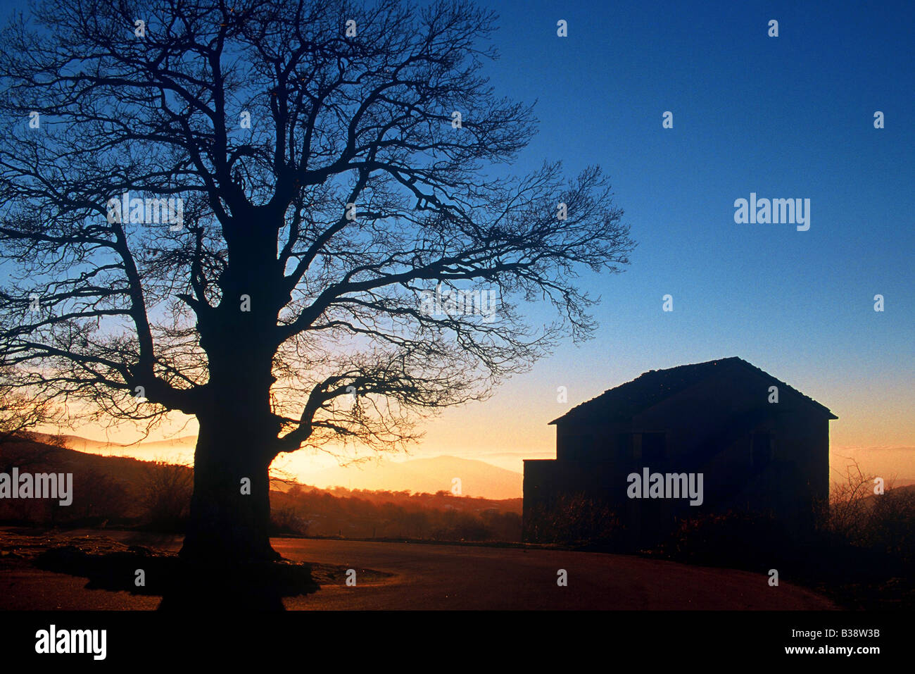 House with tree at sunset Stock Photo - Alamy