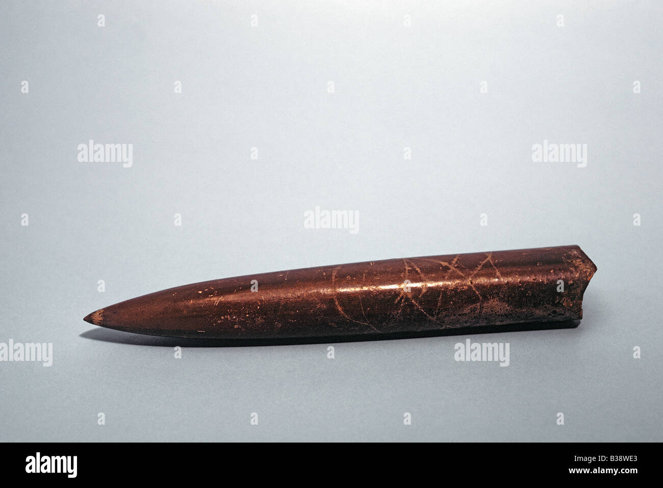 Belemnite fossil hi-res stock photography and images - Alamy