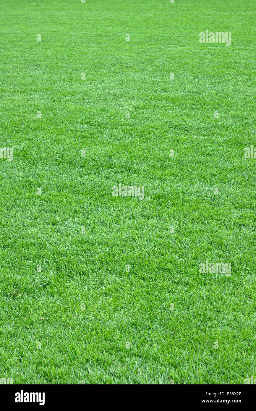 Very Green Grass High Resolution Stock Photography and Images - Alamy