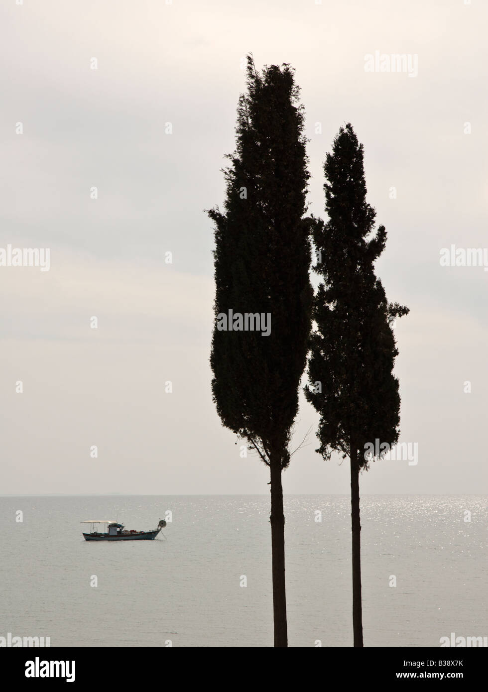 Two cyprus trees hi-res stock photography and images - Alamy