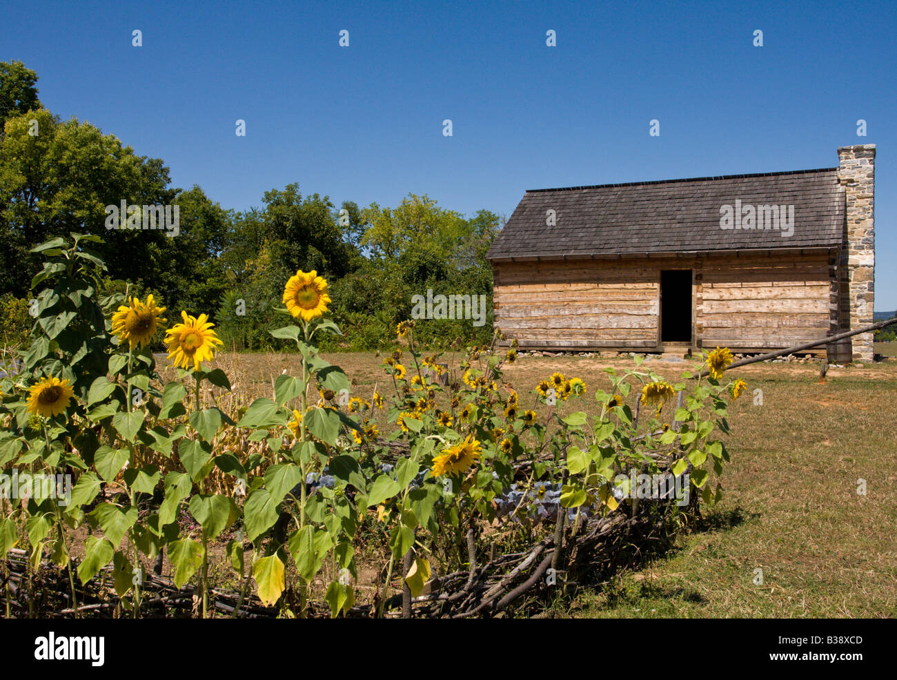 American mess hall hi-res stock photography and images - Alamy