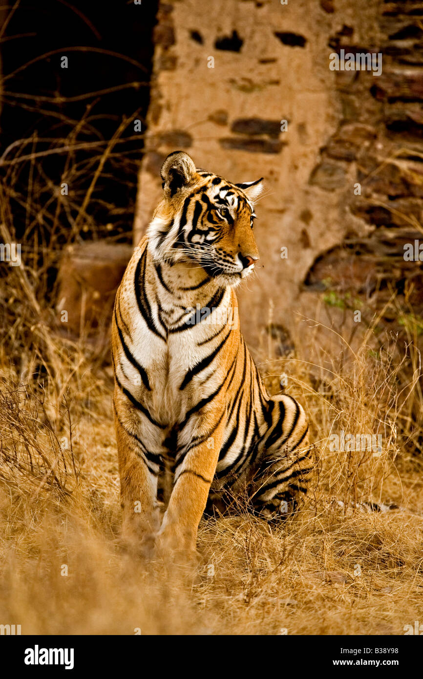 Guarding wall hi-res stock photography and images - Alamy