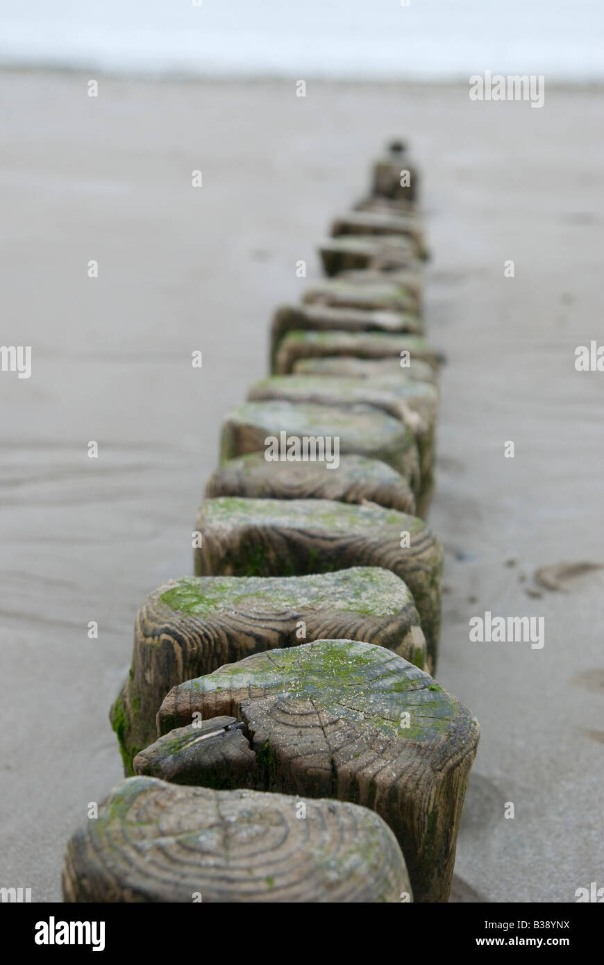 at the beach Stock Photo - Alamy