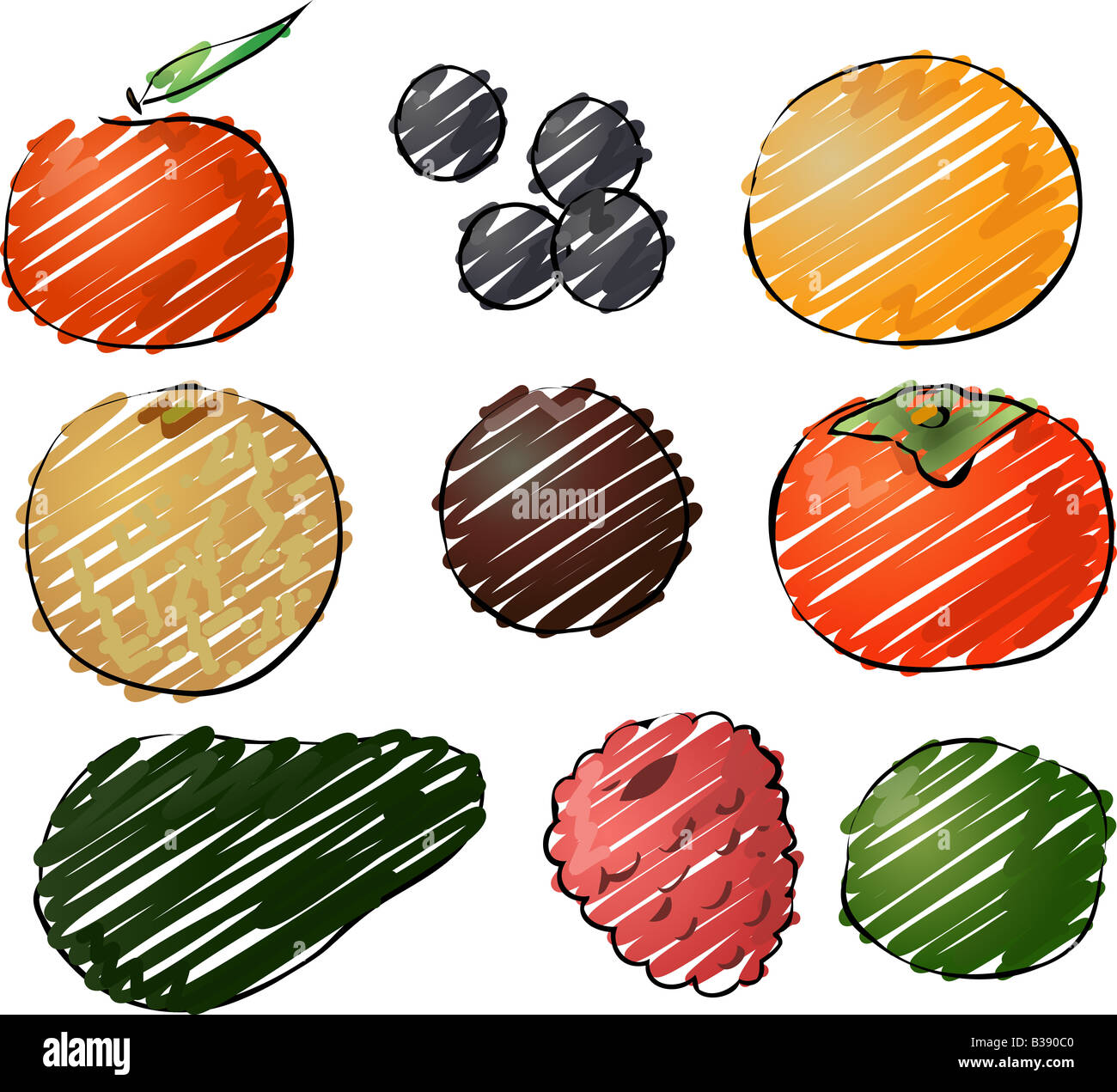 Illustration of fruits hand drawn look rough sketchy coloring Stock ...