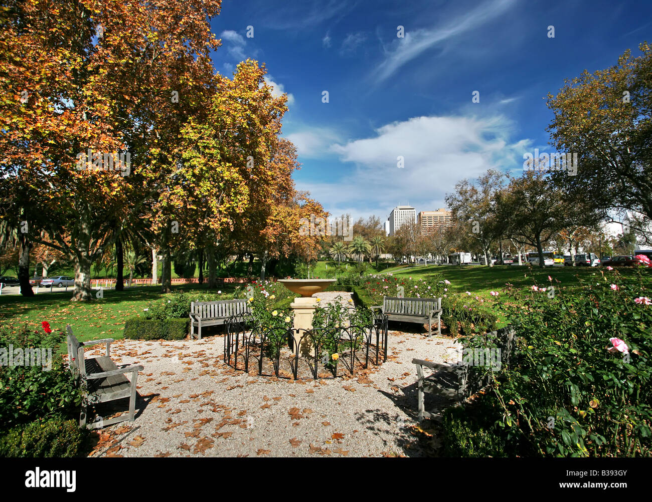 Adelaide rose gardens hi-res stock photography and images - Alamy