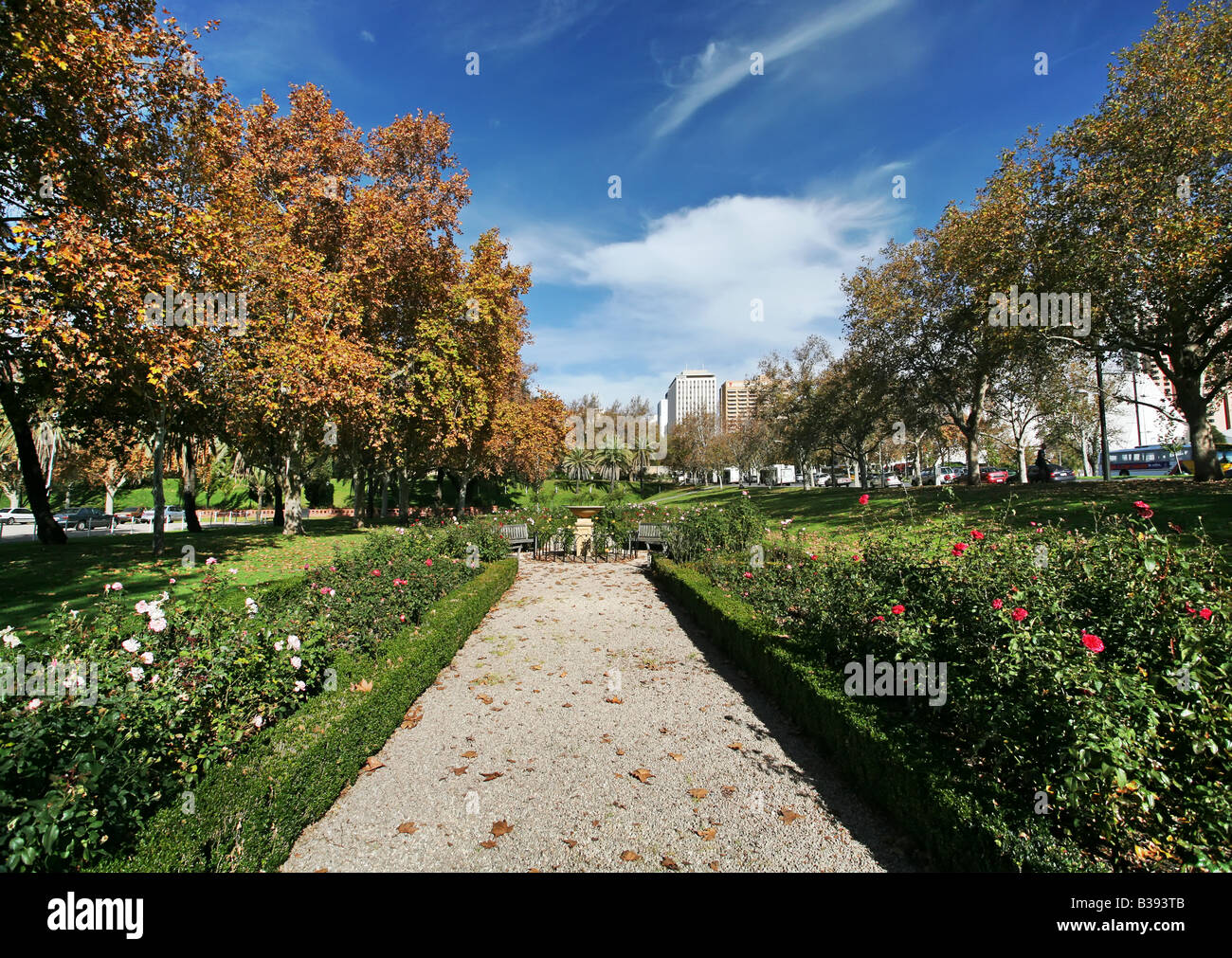 Torrens Parade Ground gardens, Adelaide, South Australia on a bright ...