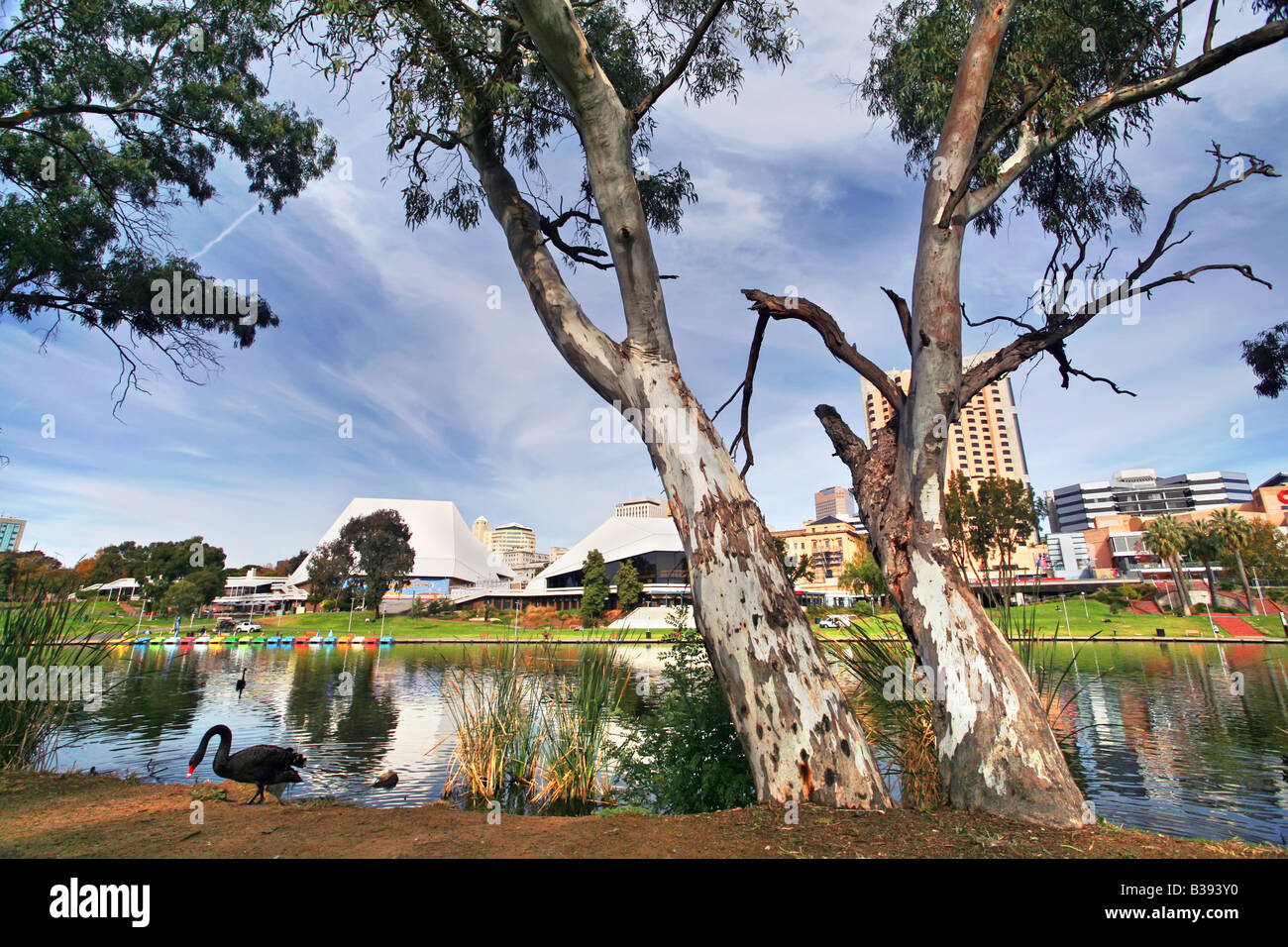 Adelaide city skyline from the banks of the River Torrens, South ...