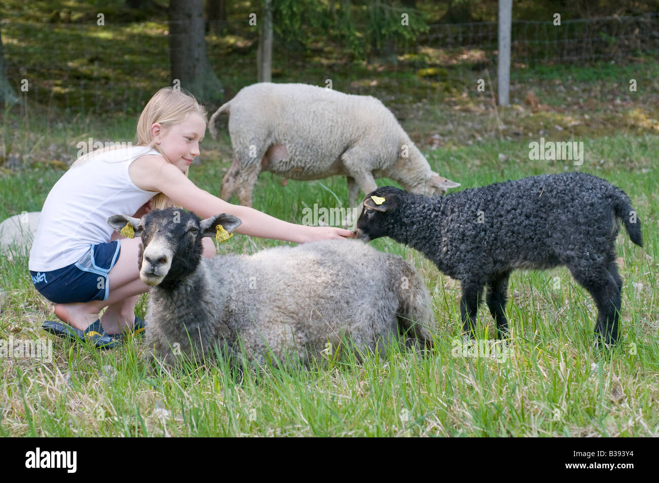 Graze child hi-res stock photography and images - Alamy