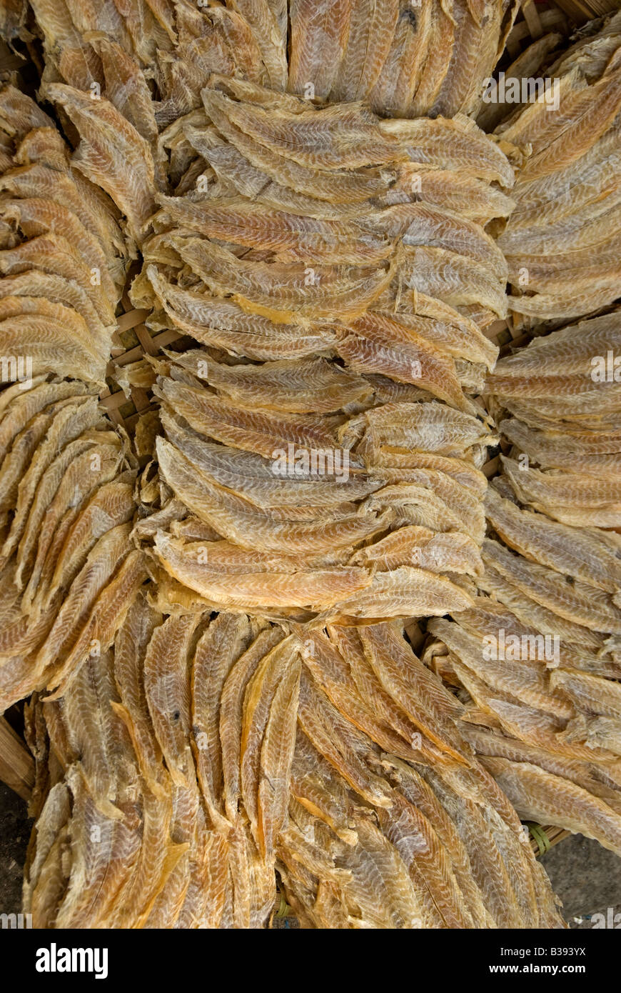 Dried fish for sale in market, Hong Kong China Stock Photo - Alamy