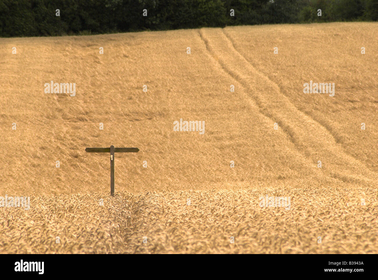 Fingerpost field hi-res stock photography and images - Alamy