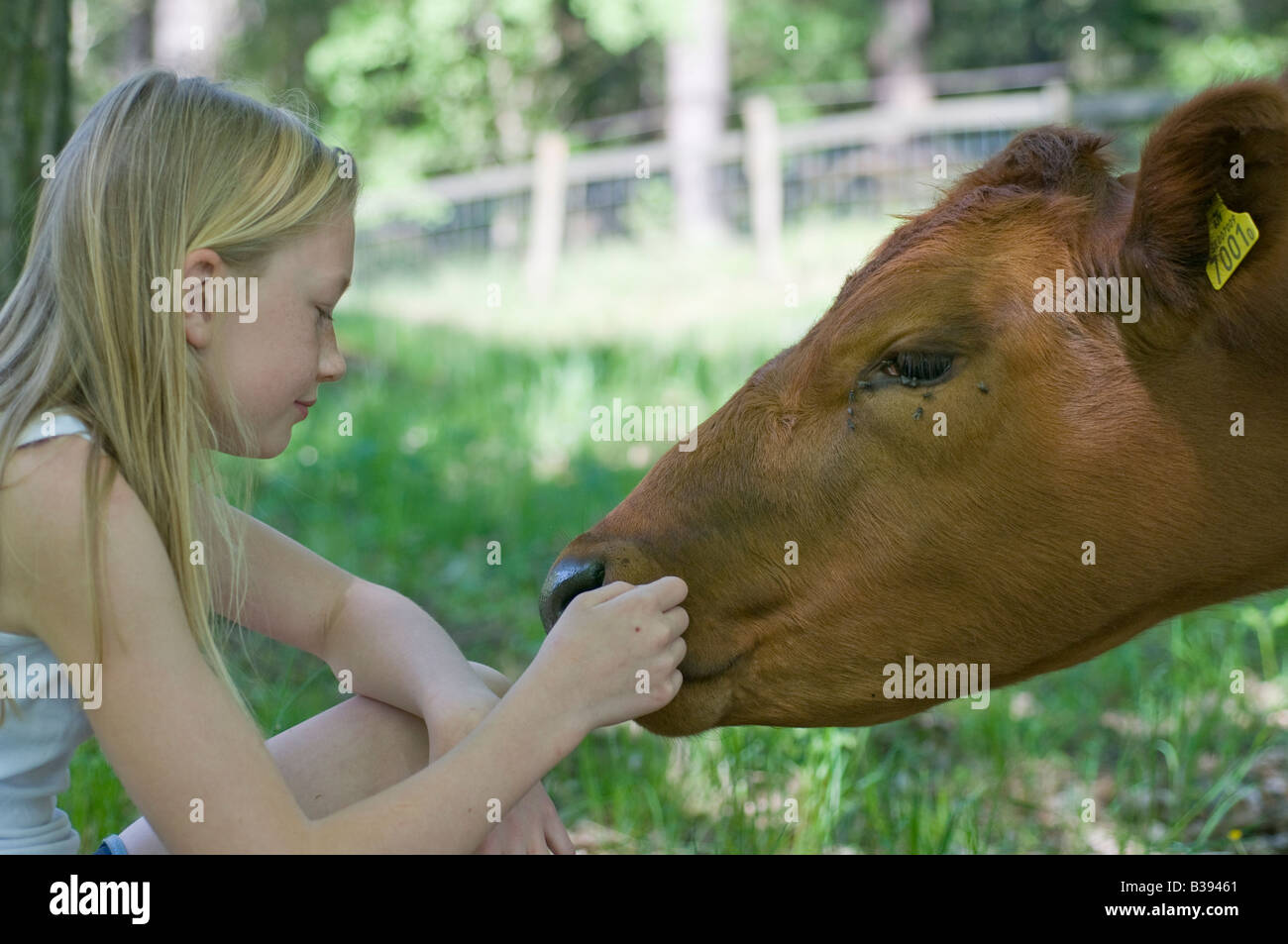 Girl with her cow Stock Photo - Alamy