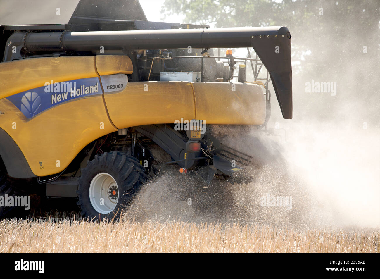 New Holland Combine Harvesting Oil Seed Rape Stock Photo - Alamy