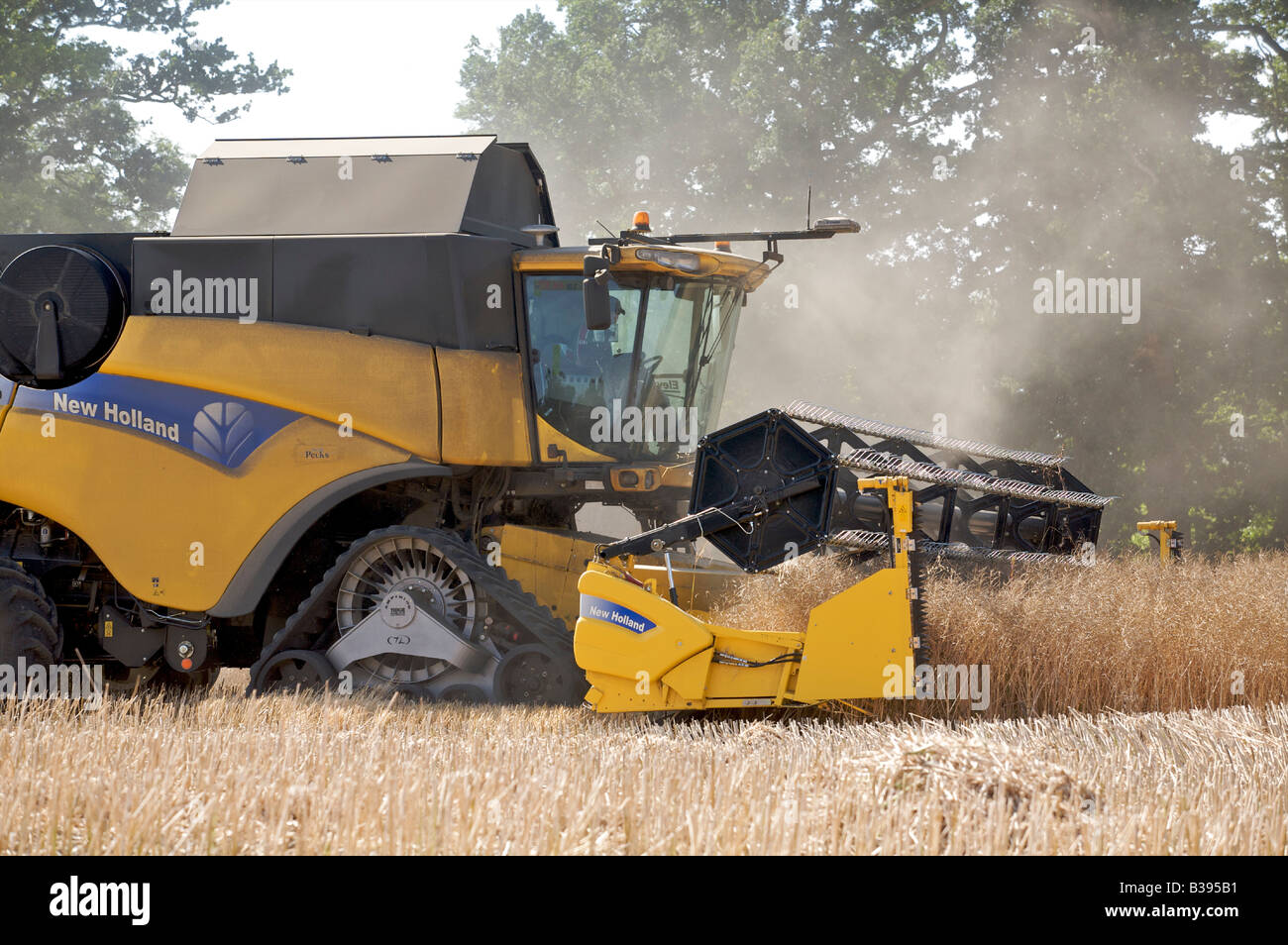 New Holland Combine Harvesting Oil Seed Rape Stock Photo - Alamy
