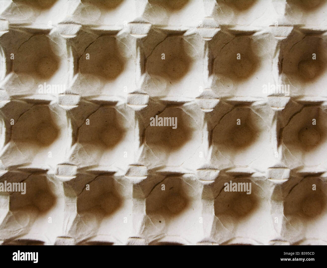 empty egg box Stock Photo - Alamy