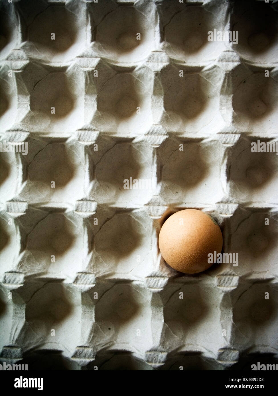 egg in the egg box Stock Photo - Alamy