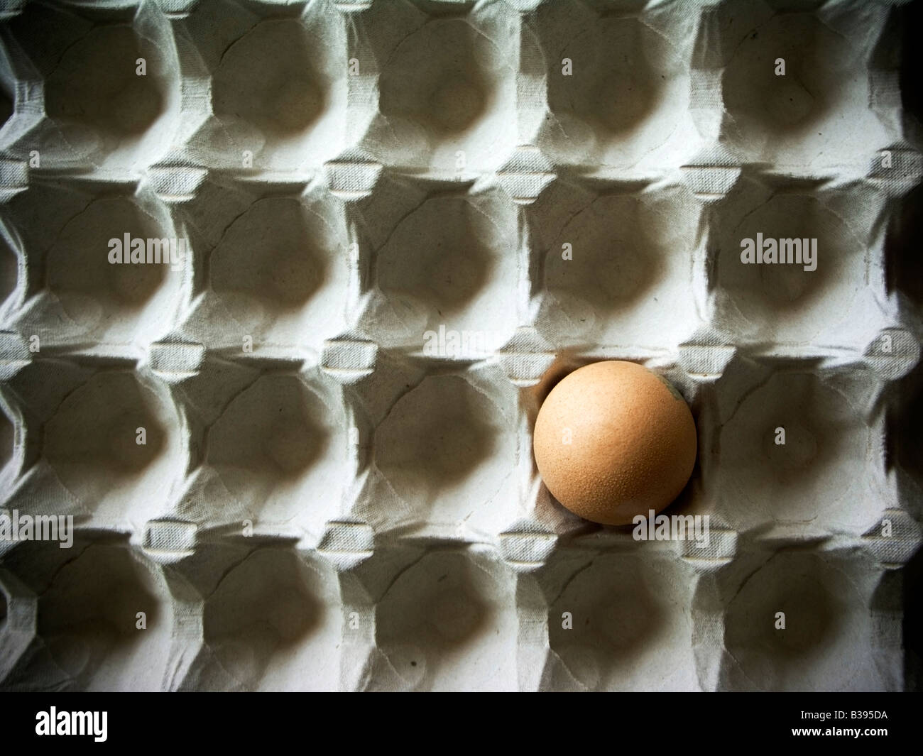 egg in the egg box Stock Photo - Alamy