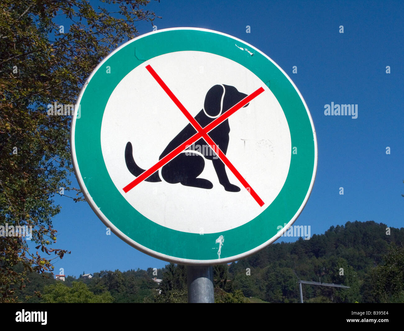 Sign in the city park - Forbidden for dog walking Stock Photo - Alamy