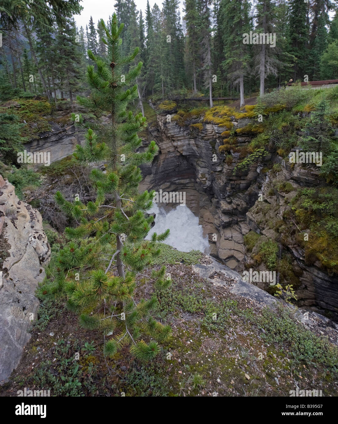 athabasca falls view into the gorge jasper national park alberta canada ...