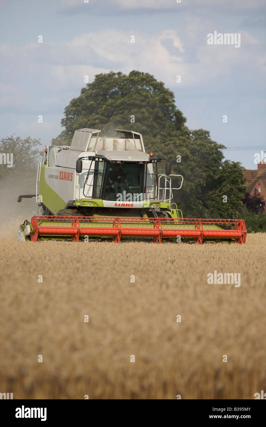 Claas Combine Harvesting Winter Wheat Stock Photo - Alamy