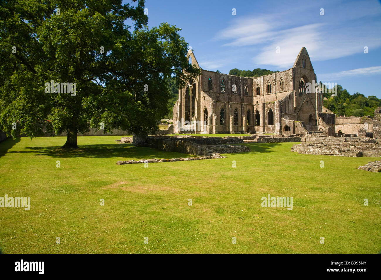 Tintern Abbey Tintern Wye Valley Wye Valley Stock Photo - Alamy