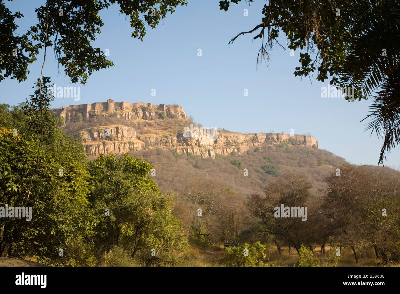 Ranthambore fort rajasthan india hi-res stock photography and images ...
