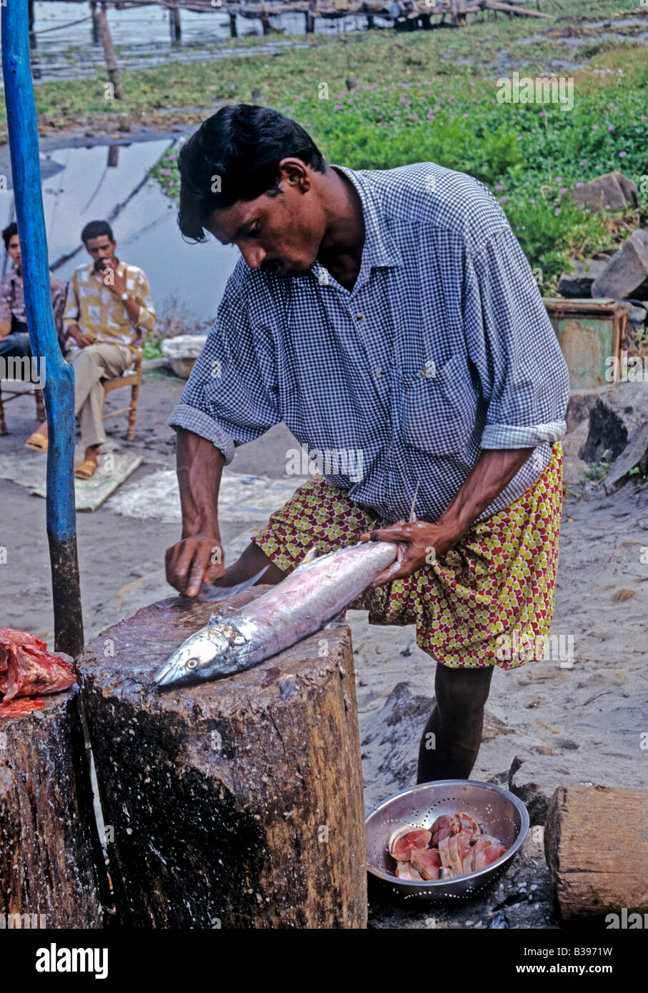 1078 Fish market Cochin Kerela State India Stock Photo - Alamy