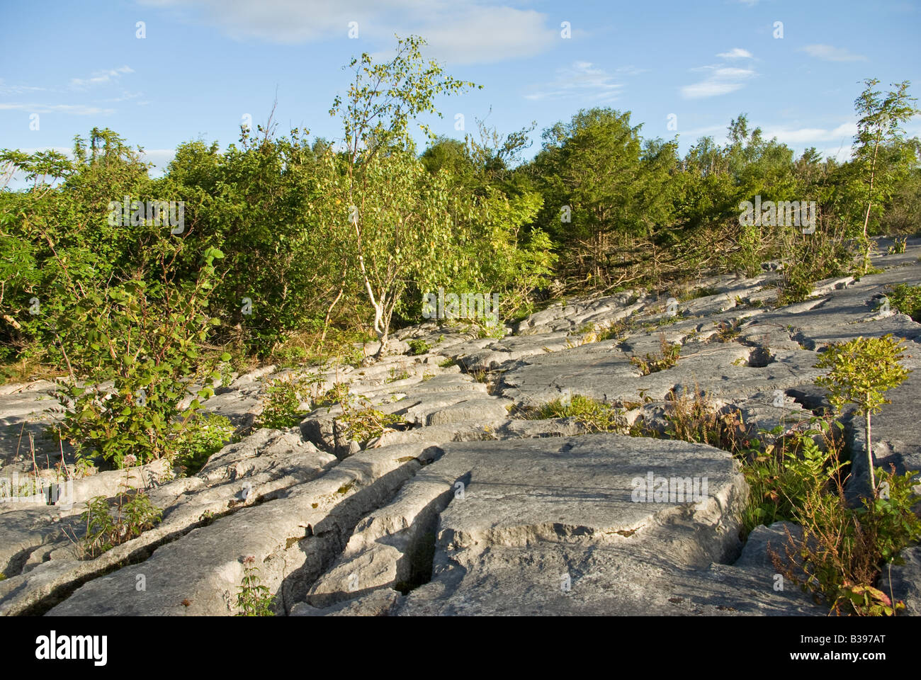 Limestone Pavement at Gait Barrows Nature Reserve, Silverdale Stock ...