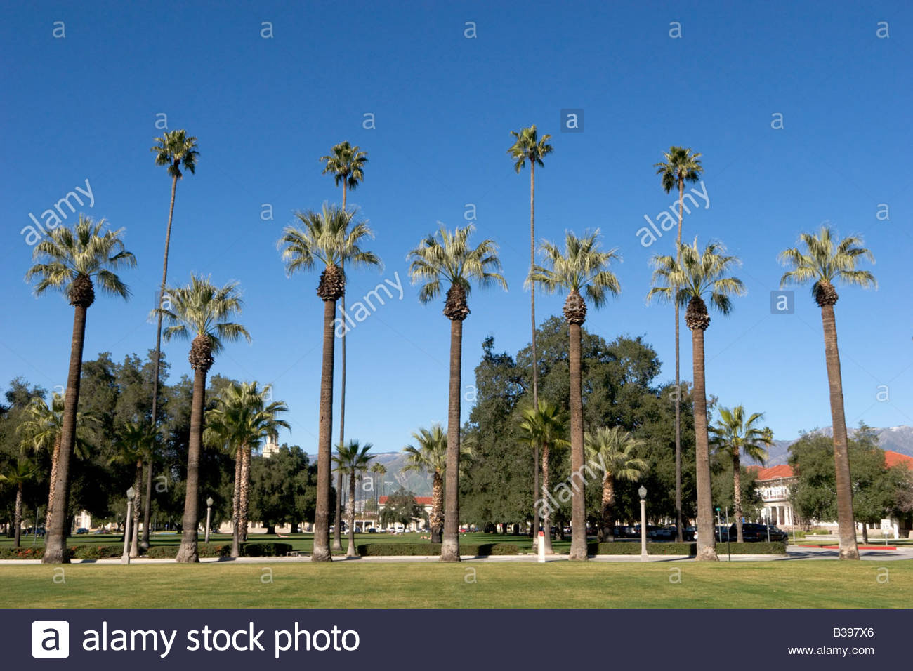 California Schools High Resolution Stock Photography and Images - Alamy
