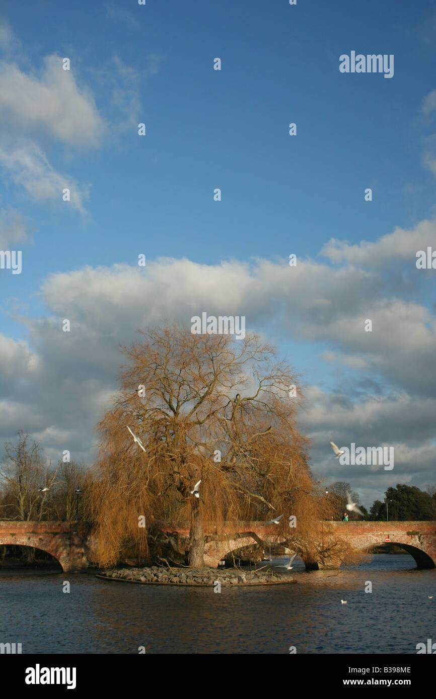 English stone bridges hi-res stock photography and images - Alamy