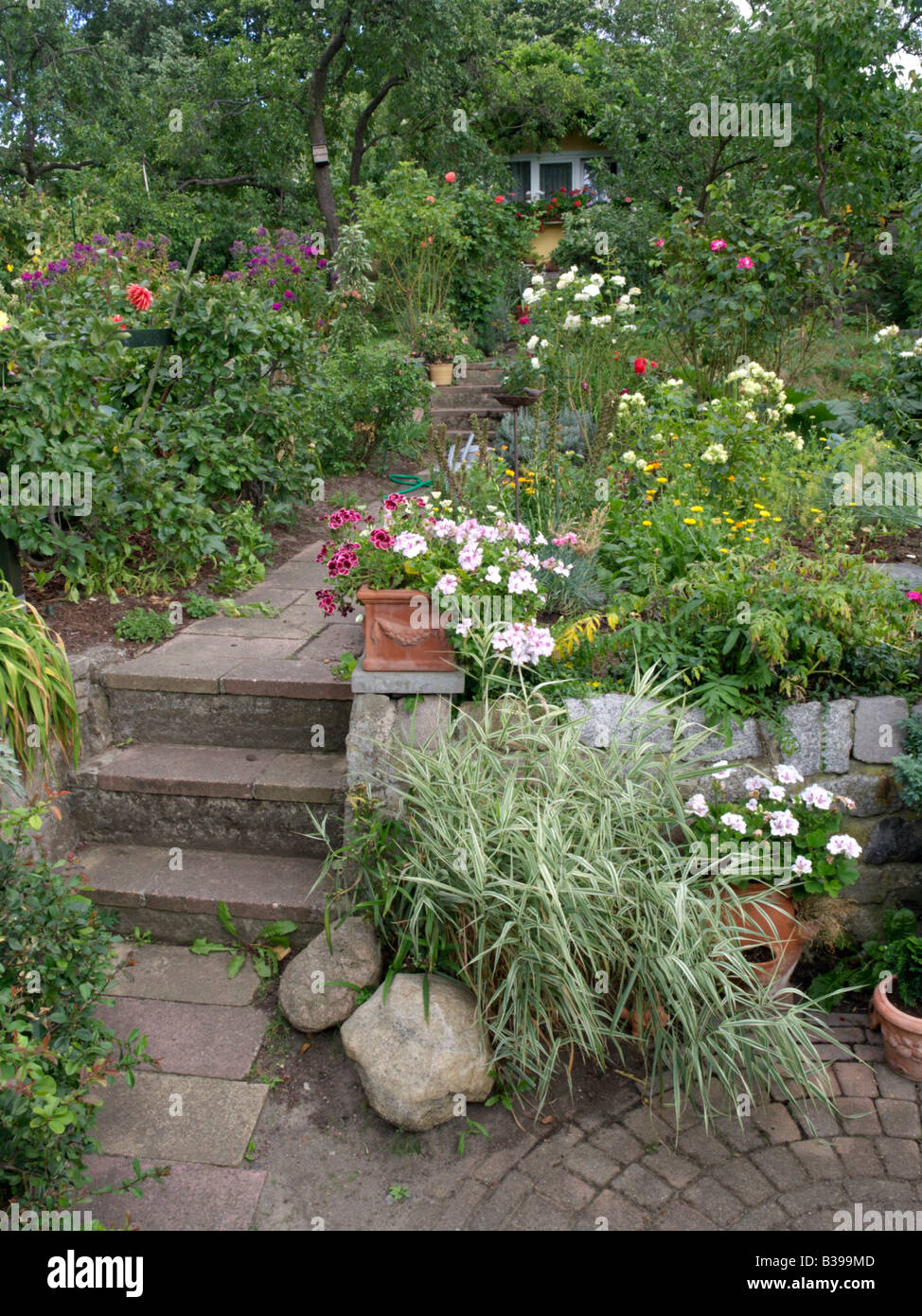 Allotment garden hi-res stock photography and images - Alamy