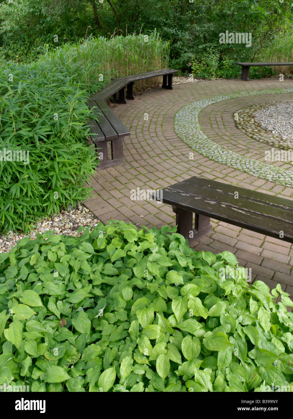 Benches in a shady garden Stock Photo - Alamy