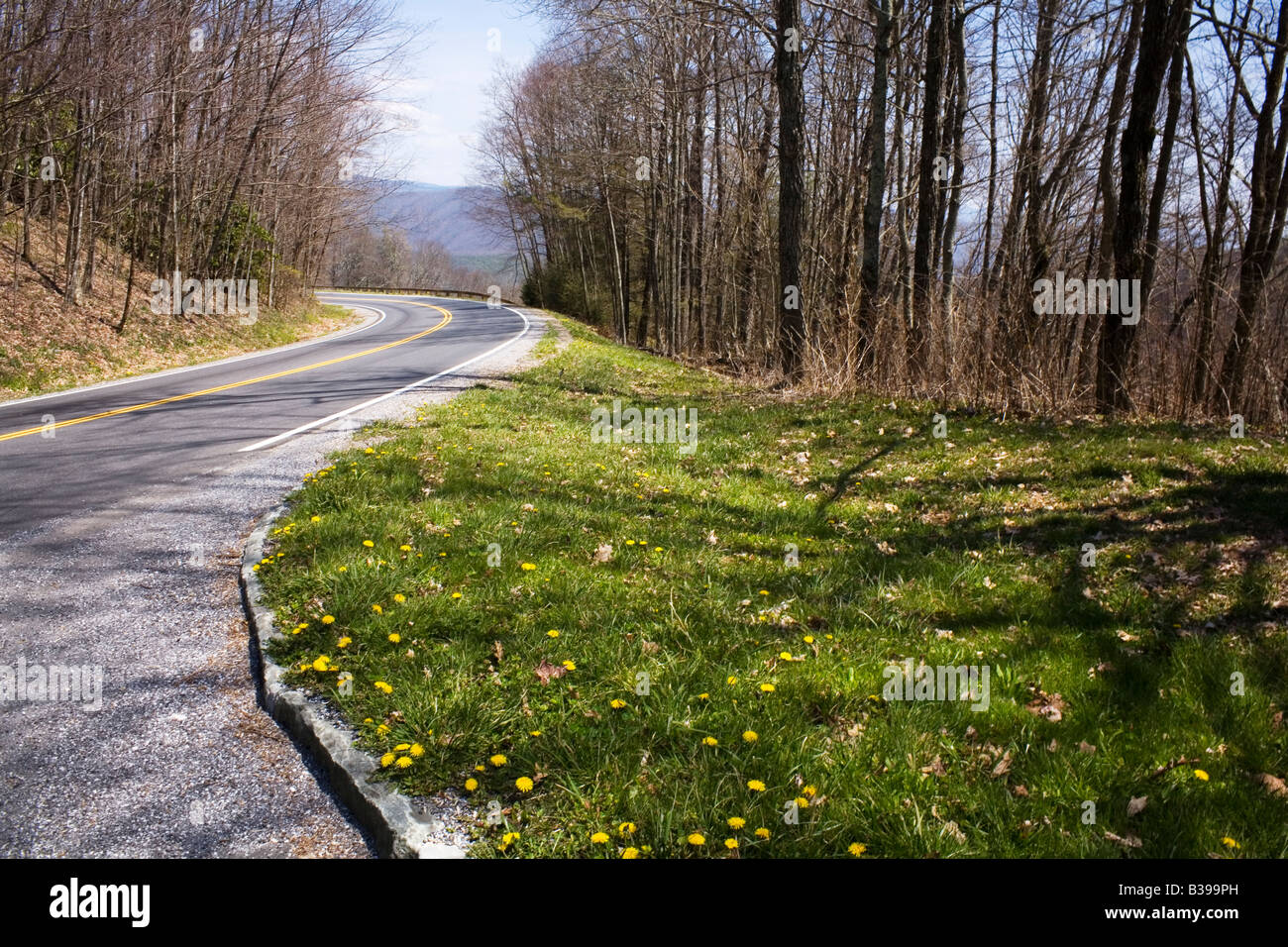 Clingmans dome road hi-res stock photography and images - Alamy