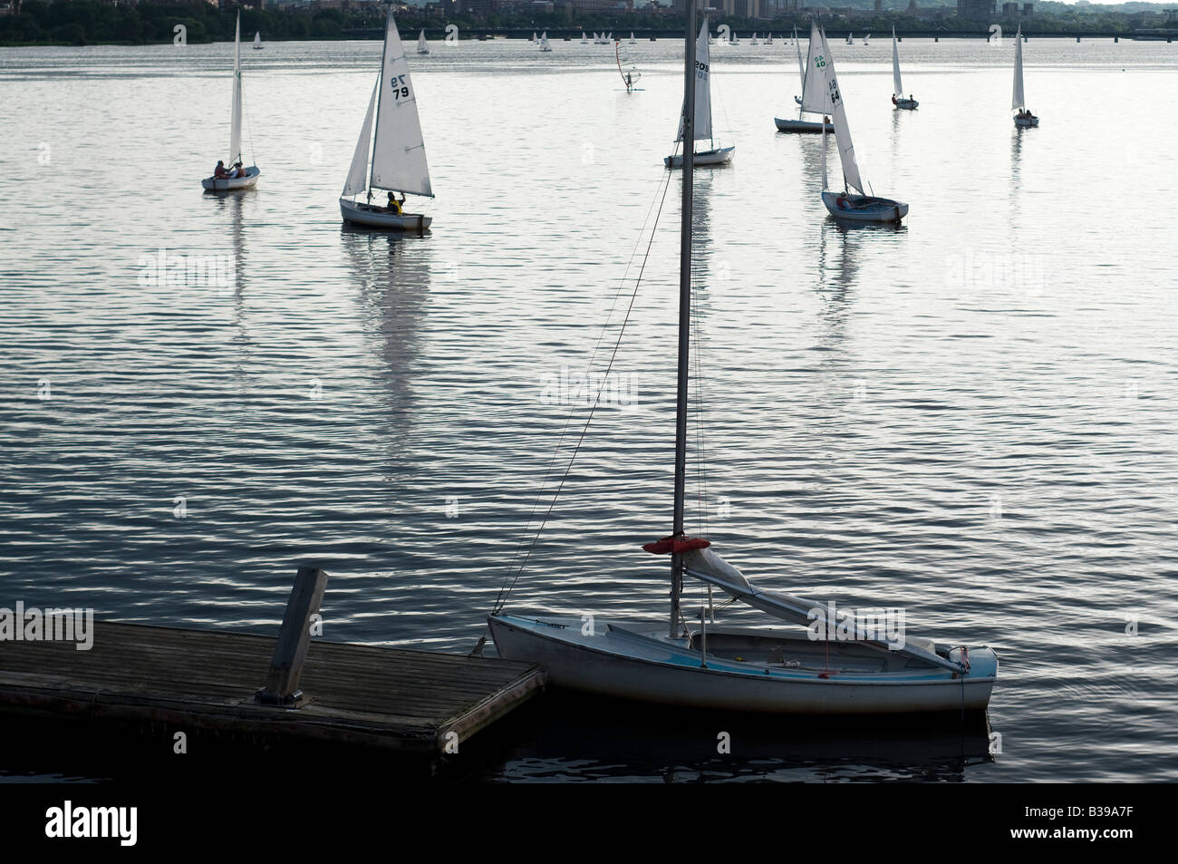Boston charles river boats hi-res stock photography and images - Alamy