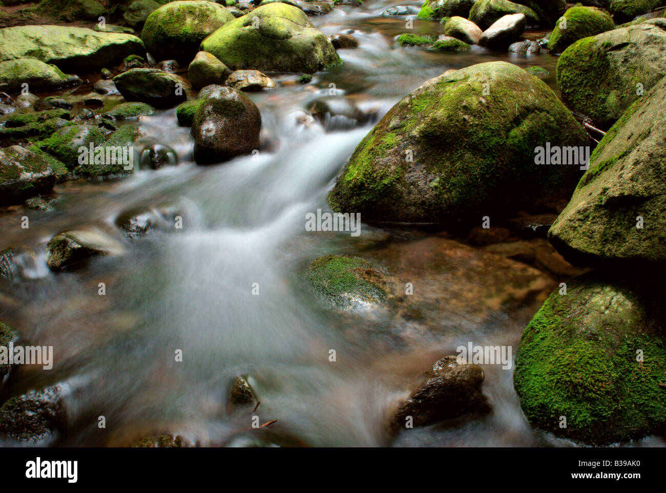 Detail of stream with stones around Stock Photo - Alamy