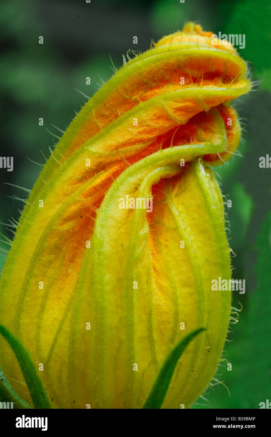 Home cottage farm pick your own hi-res stock photography and images - Alamy