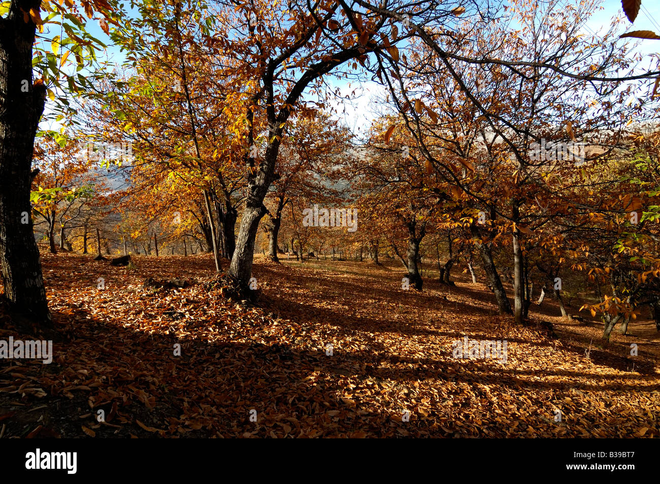 a picture of a landscape Stock Photo - Alamy