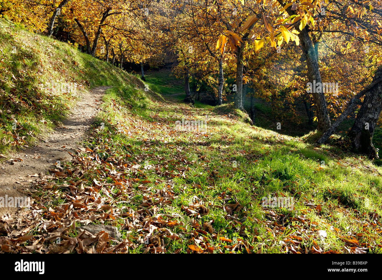a picture of a landscape Stock Photo - Alamy