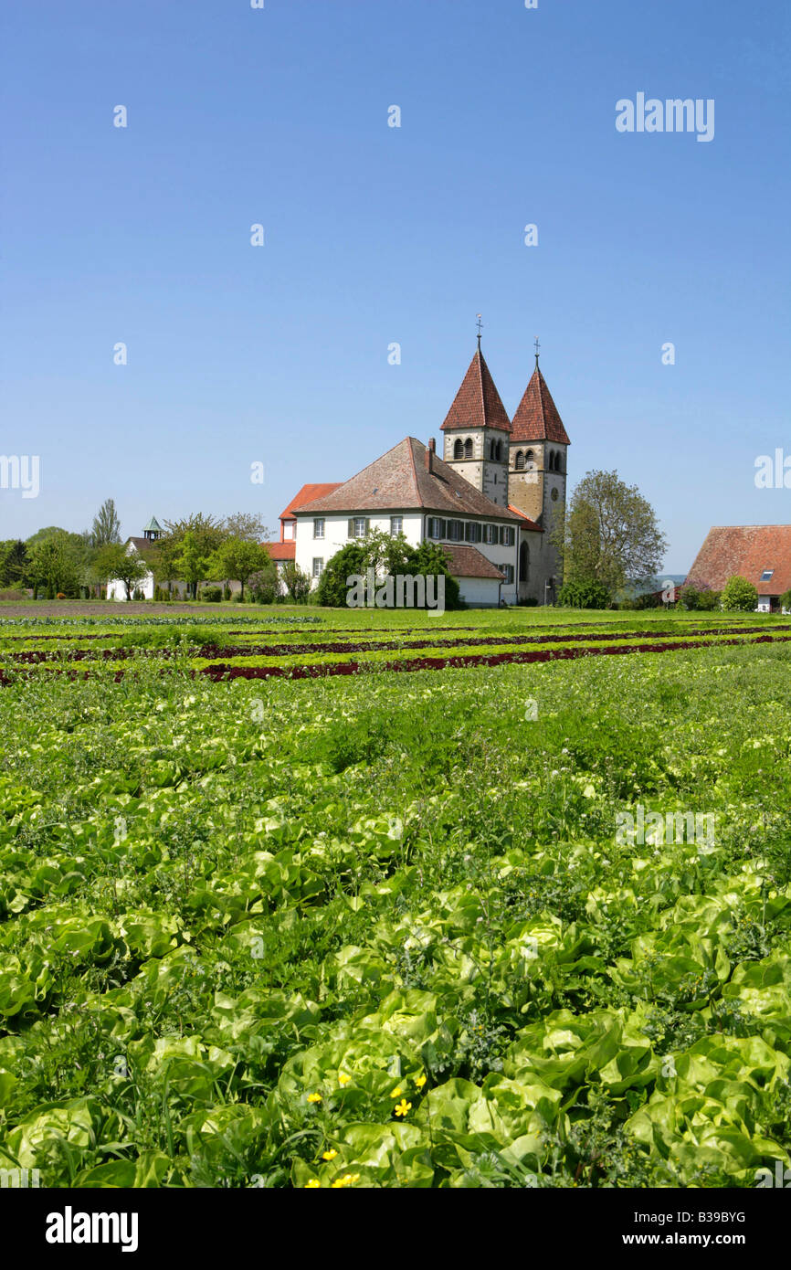Deutschland, Insel Reichenau am Bodensee, Germany, island Reichenau at ...