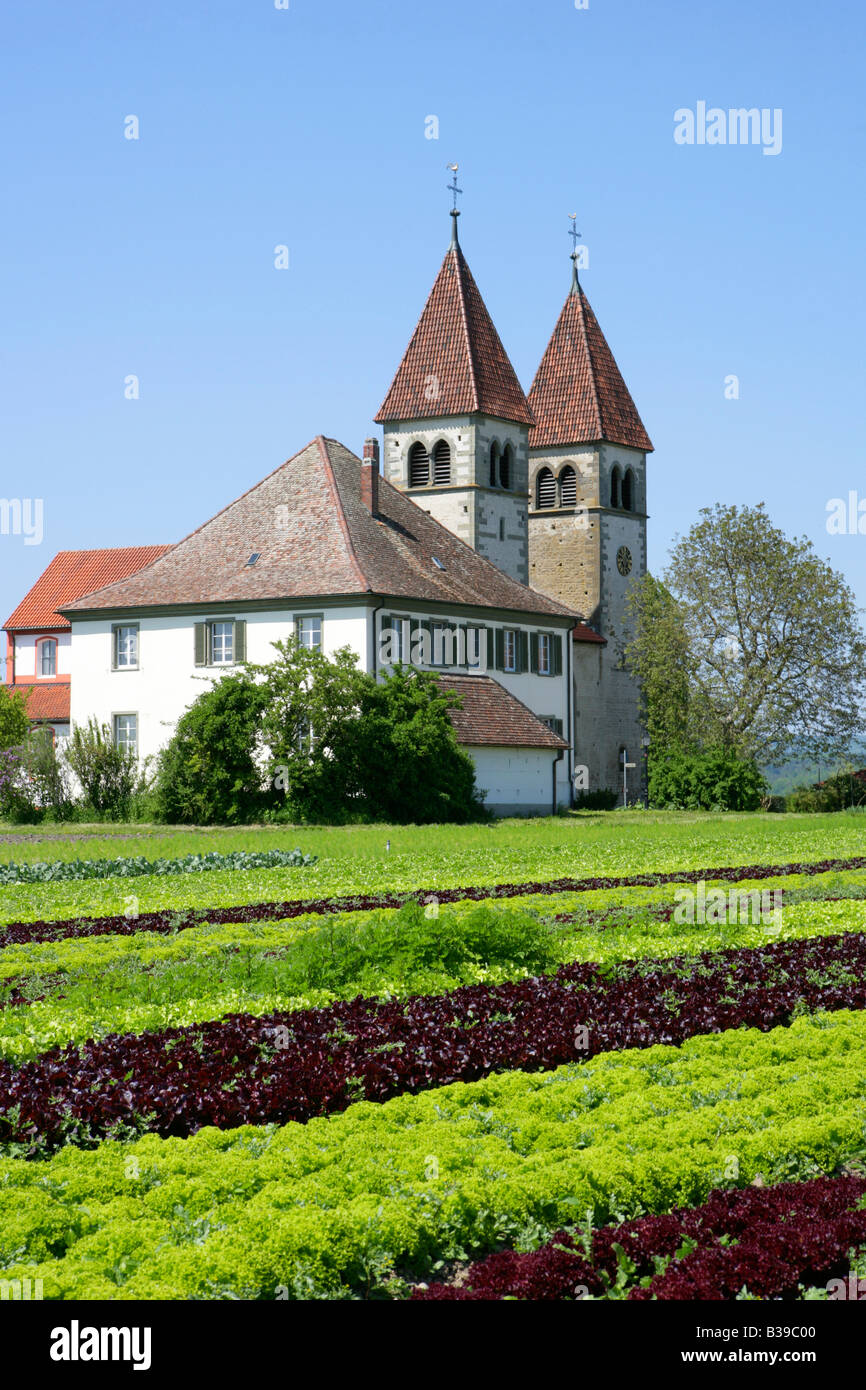Deutschland insel reichenau am bodensee hi-res stock photography and ...